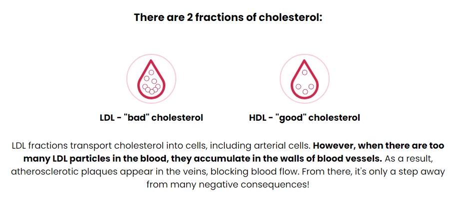 ᐉ Lipid Control Plus in Pharmacy - [50% Discount] Price - Medical ...